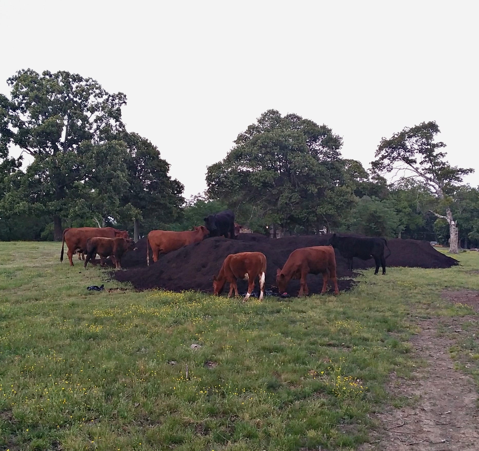 St. Joseph Farm - Only In Arkansas - First Security Bank