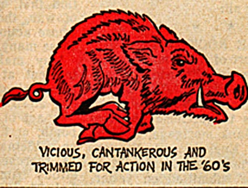 The History of the U of A Mascot Program