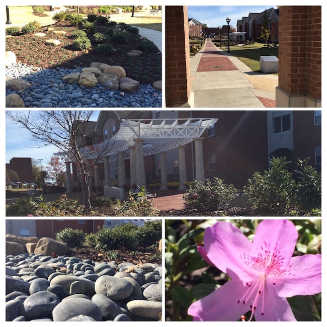 First Ladies Garden - Harding University - Only In Arkansas