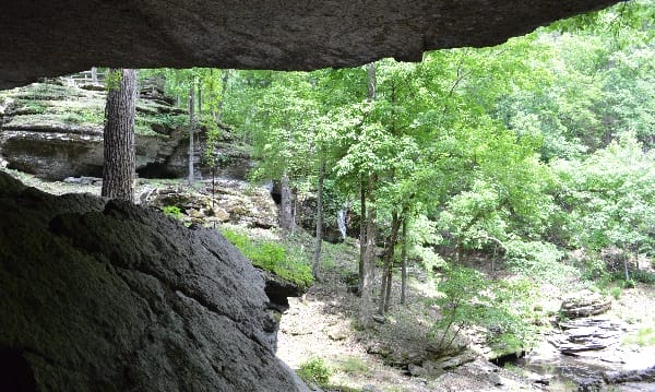 Fossils in the Ozark Mountains - Only In Arkansas