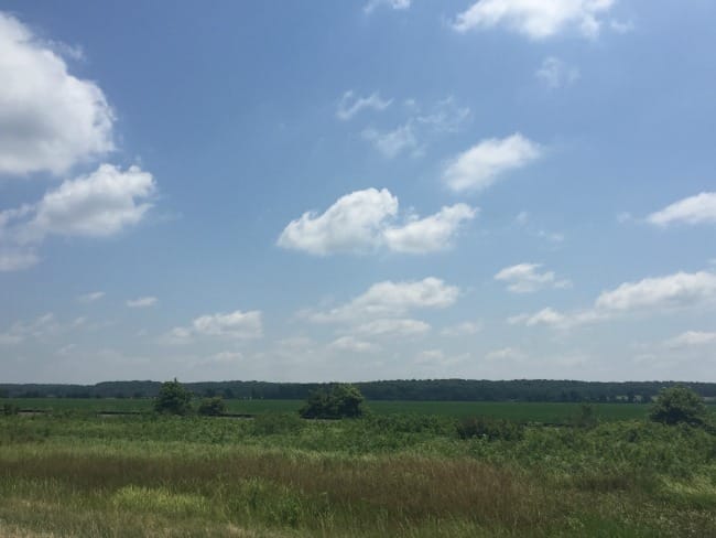 Crowley’s Ridge Nature Center - Jonesboro - Only In Arkansas
