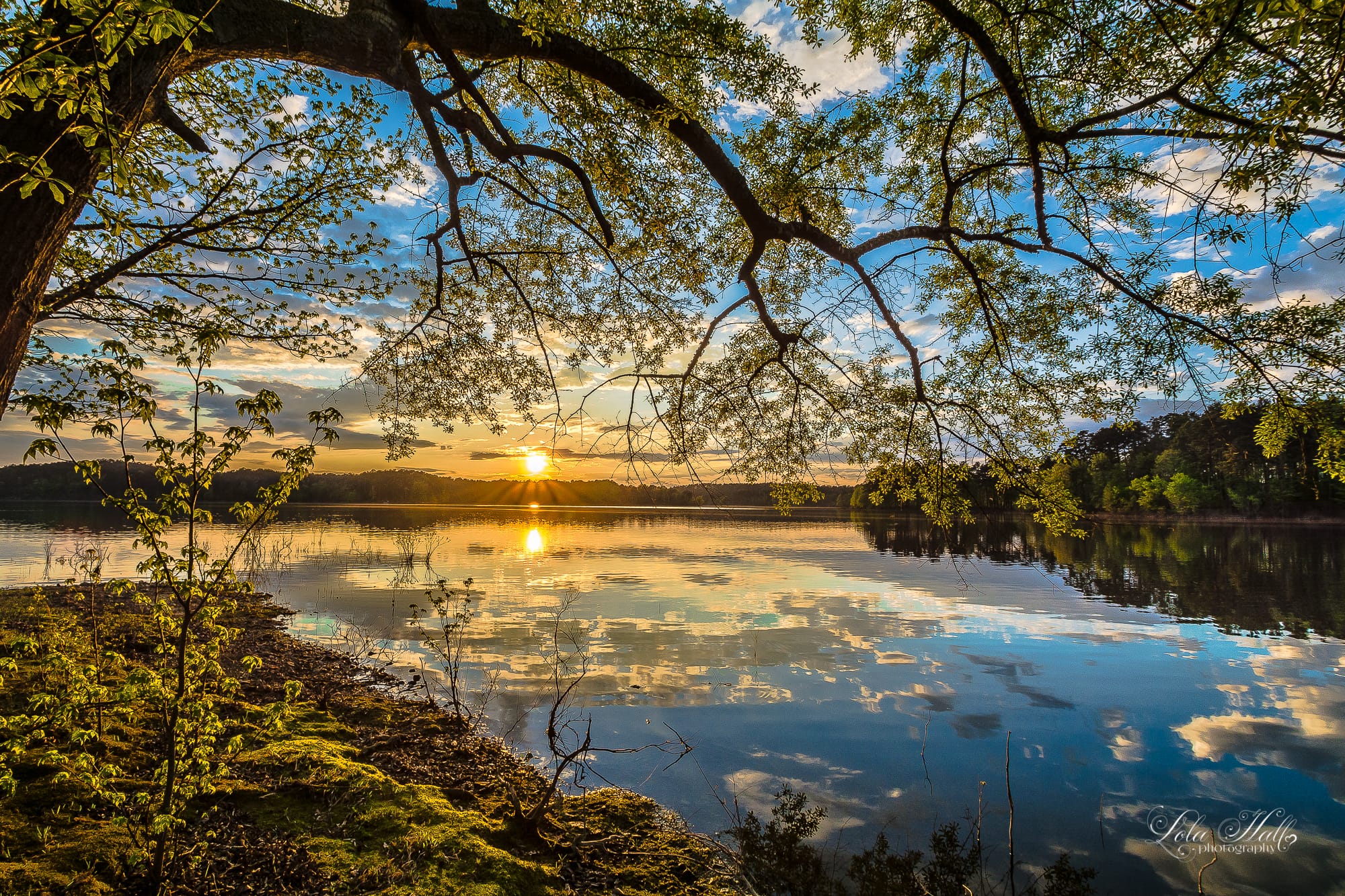 Photo of the Week: Arlie Moore Recreation - Only In Arkansas