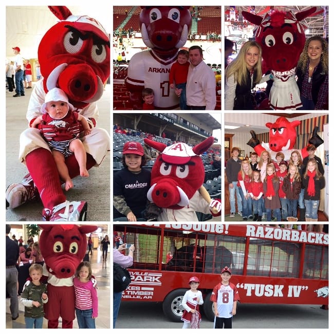 The History of Arkansas Mascots - Only In Arkansas