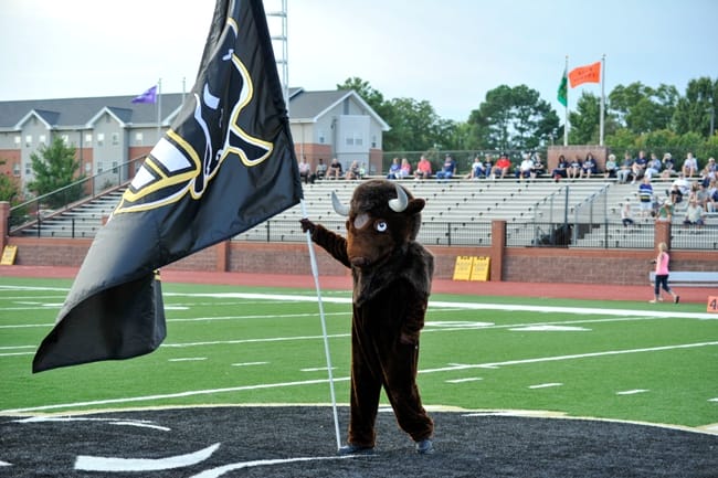 The History of Arkansas Mascots - Only In Arkansas