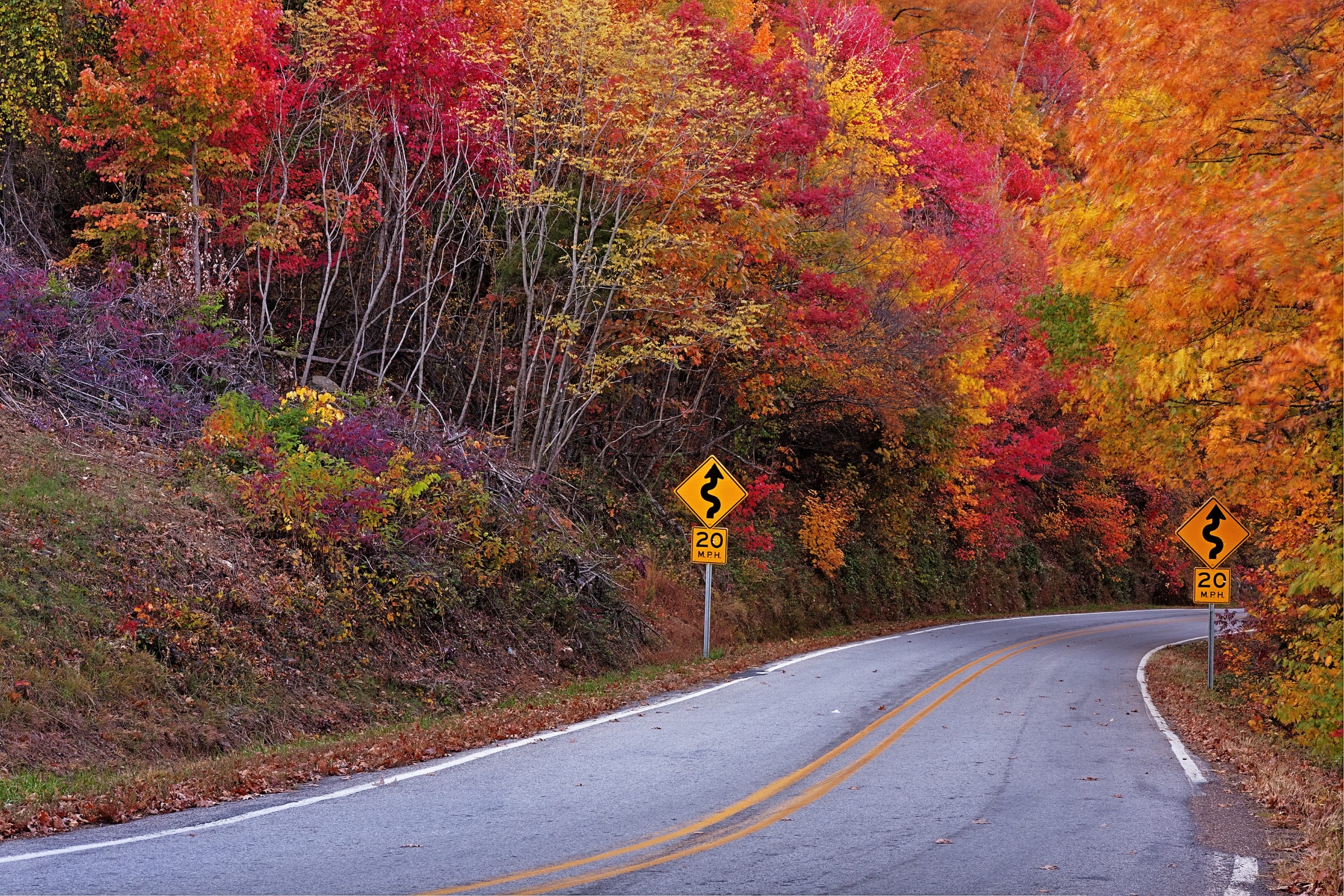 Arkansas's Well-Known Hiking Destination: Whitaker Point - Only In Arkansas