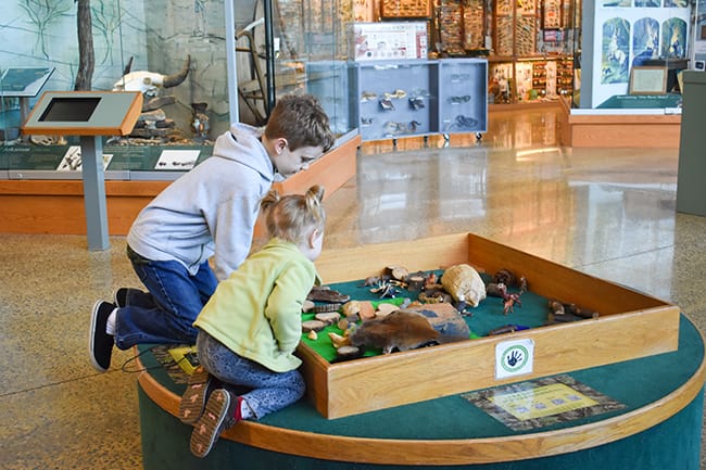 Witt Stephens Jr. Central Arkansas Nature Center - Only In Arkansas