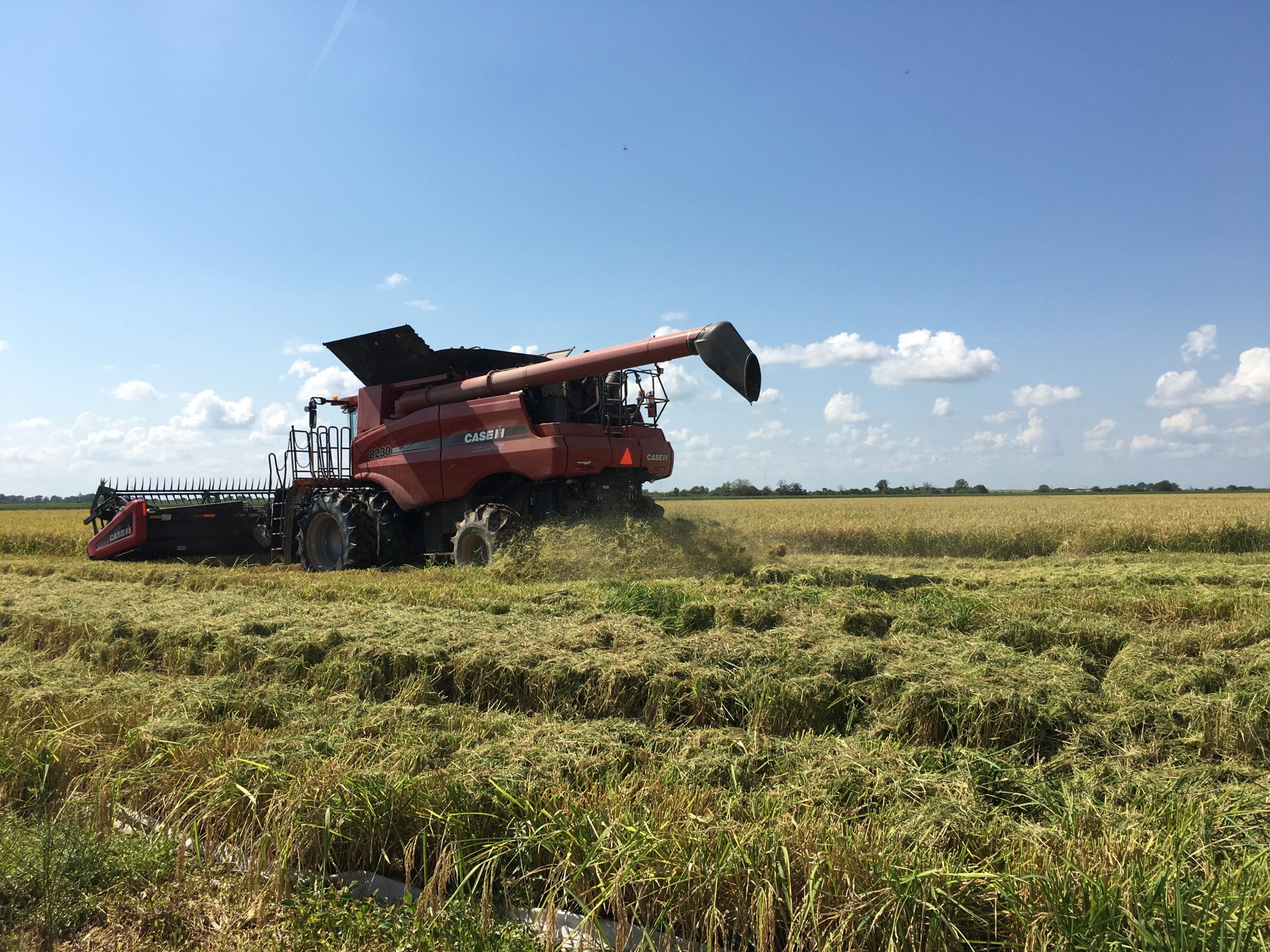 An Arkansas Original: Riceland Foods - Only In Arkansas