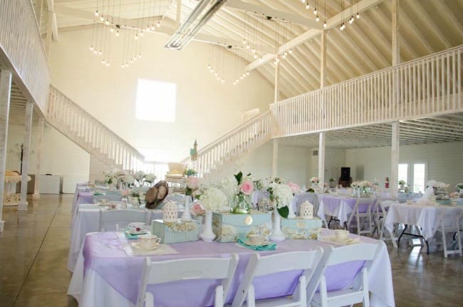 Tea for Two? Or Ten? An Arkansas Ladies Tea Party - Only In Arkansas