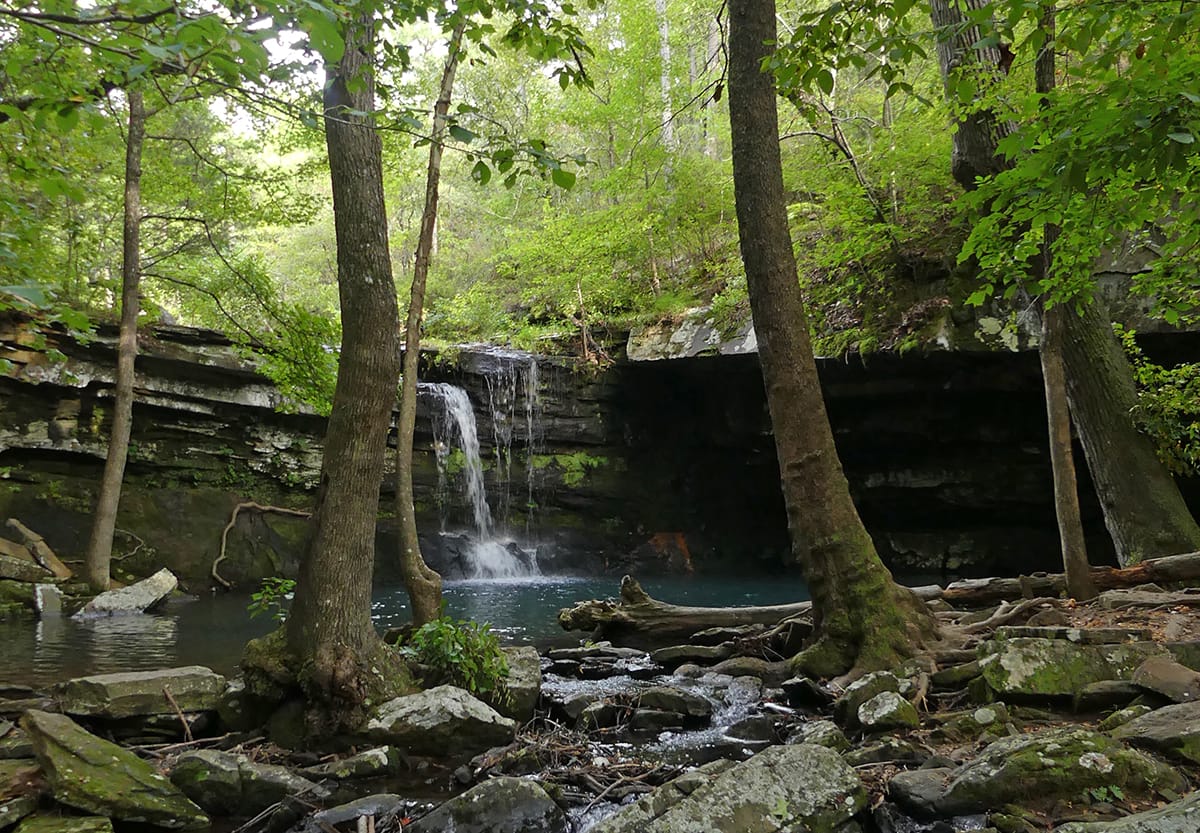 National Forests of Arkansas - Only In Arkansas