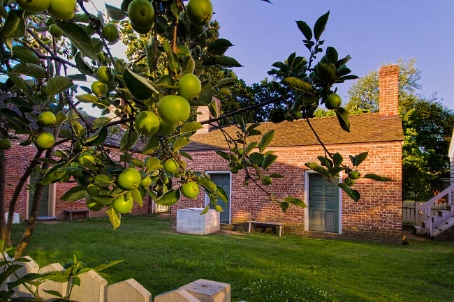 Houses Full of History: The Historic Arkansas Museum - Only In Arkansas