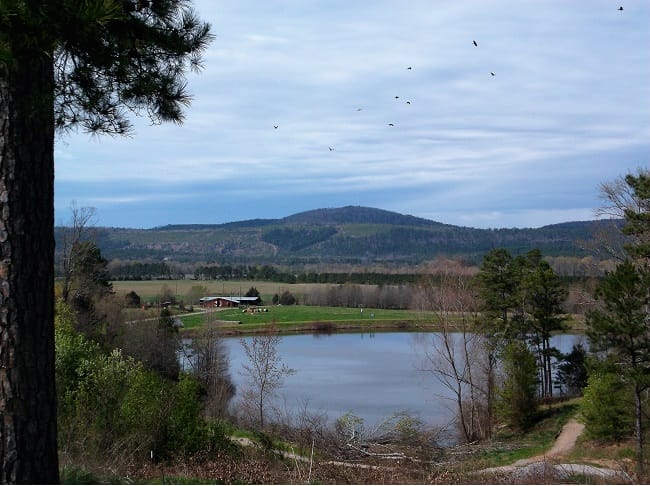Goat Yoga & More: Dave’s Retreats at Heifer Ranch - Only In Arkansas
