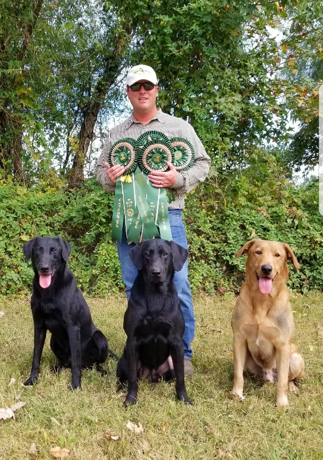 A Dog's Purpose - Ridgemark Retrievers - Only In Arkansas