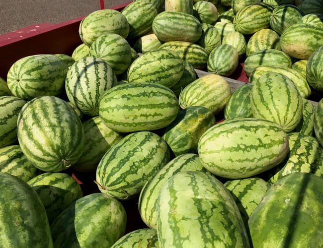 Exploring a Place Called Hope - Only In Arkansas