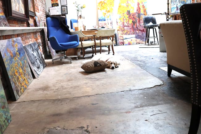 Barry Thomas: Arkansas’s Impressionist - Only In Arkansas