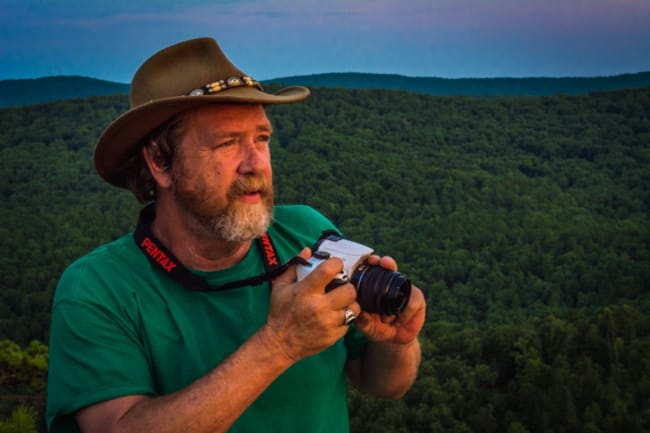 Bobcats in Arkansas - Only In Arkansas