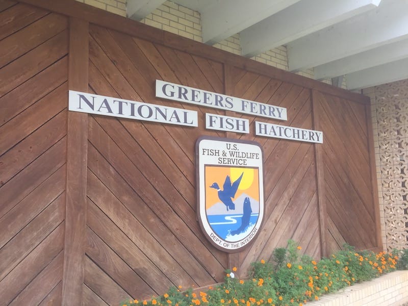 13 Things to Do in Heber Springs - Only In Arkansas