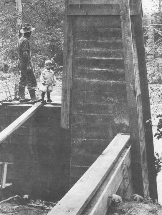 Sylamore Swinging Bridge in Allison - Only In Arkansas