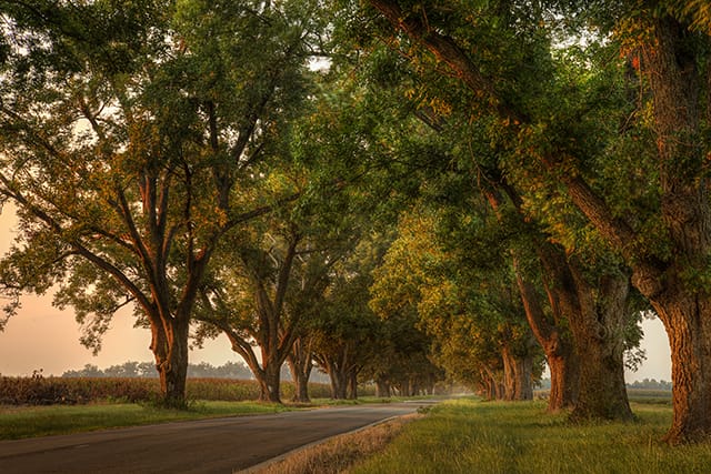 How to Photograph a Perfect Arkansas Sunset - Only In Arkansas