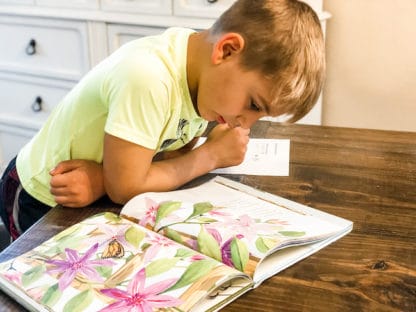 The Arkansas Diamond Primary Book Award - Only In Arkansas