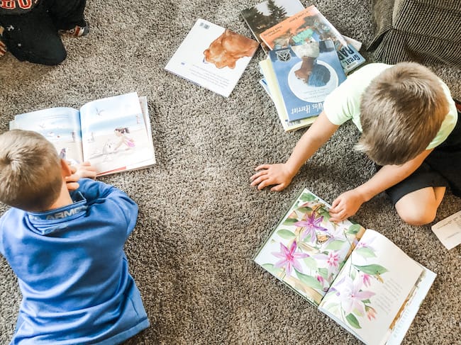 The Arkansas Diamond Primary Book Award - Only In Arkansas