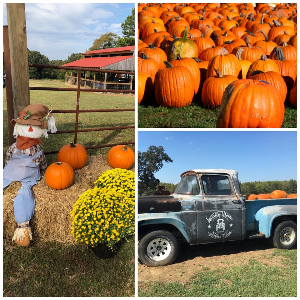 Arkansas Pumpkin Patch Adventures 2020 - Only In Arkansas