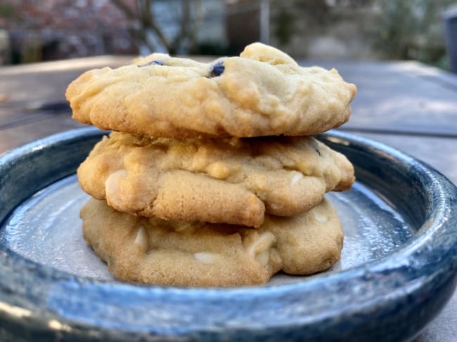 Cranberry & White Chocolate Cookies - Only In Arkansas