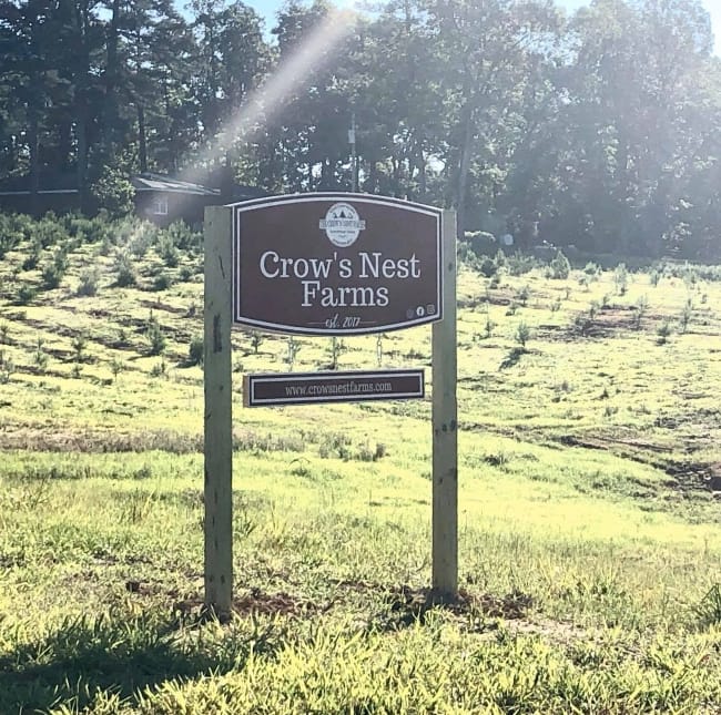 A Tale of Two Arkansas Christmas Tree Growers - Only In Arkansas