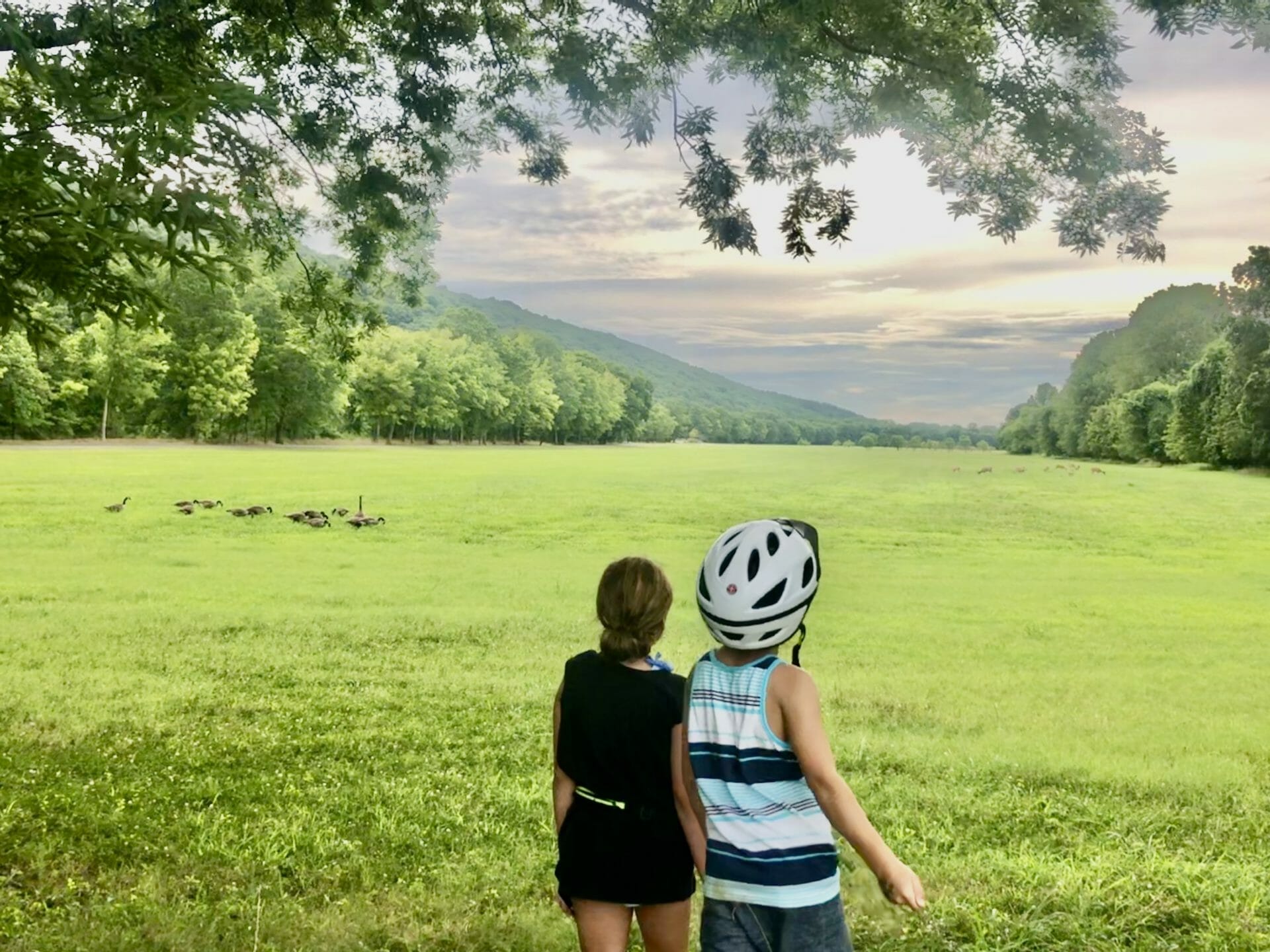 Photo of the Week | First Glimpse - Two Rivers Park - Only In Arkansas