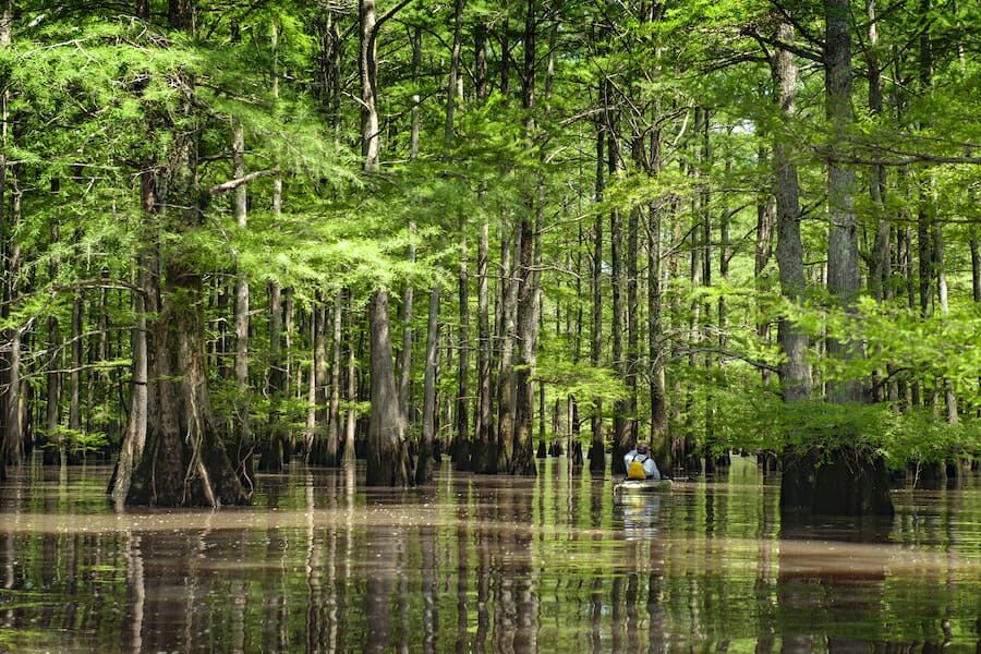 Arkansas Delta Road Trip: Marked Tree To Wilson - Only In Arkansas