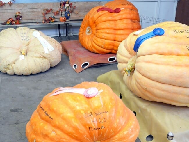 Arkansas State Fair: Giant Pumpkins & Watermelons - Only In Arkansas