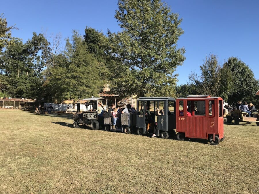 Parker Homestead: Arkansas Pioneer Living History - Only In Arkansas