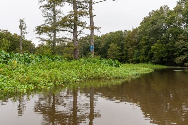 French History of Arkansas - Only In Arkansas