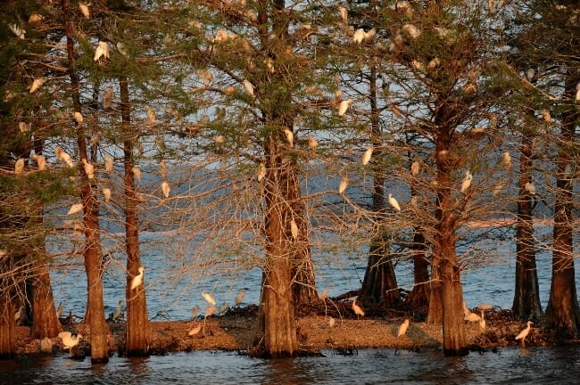 Lake Ouachita, Arkansas's Largest Lake - Only In Arkansas