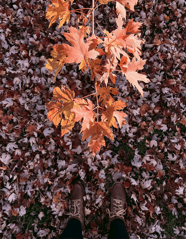 Photography Tip Series: Balance - Only In Arkansas