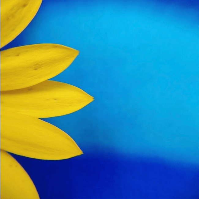 Photography Tip Series: Balance - Only In Arkansas