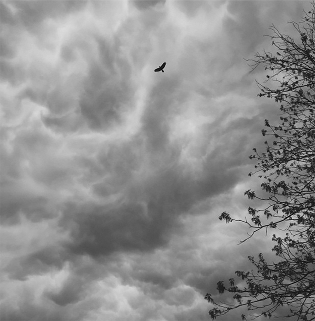 Photography Tip Series: Balance - Only In Arkansas