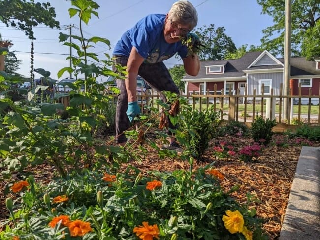 The Arkansas Master Gardeners Program - Only In Arkansas