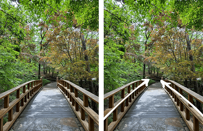 Photography Tip Series: Leading Lines - Only In Arkansas