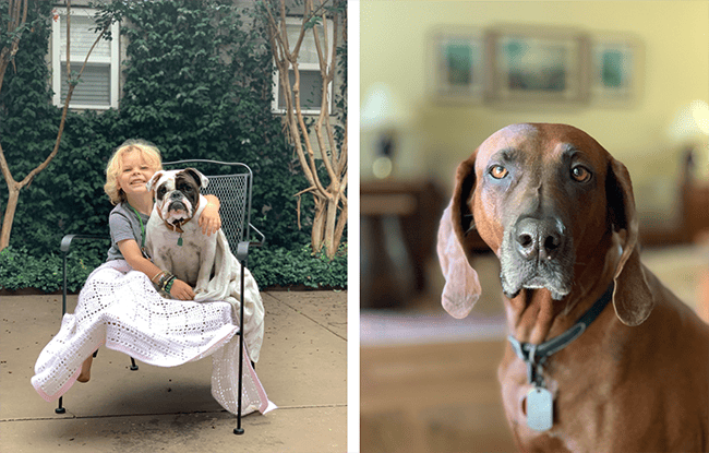 Photography Tip Series: Hard and Soft Light - Only In Arkansas