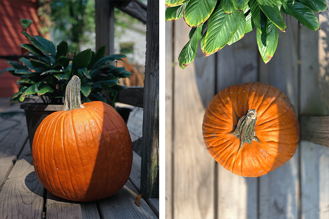 Photography Tip Series: Hard and Soft Light - Only In Arkansas