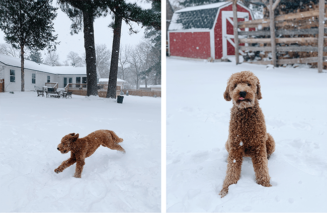 Photography Tip Series: Hard and Soft Light - Only In Arkansas