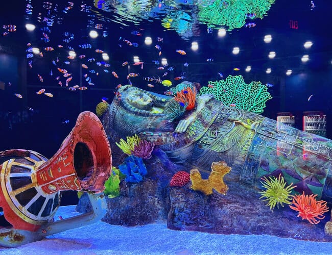 Ahoy Mates! Arkansas Spots for Pirate-Loving Kids - Only In Arkansas