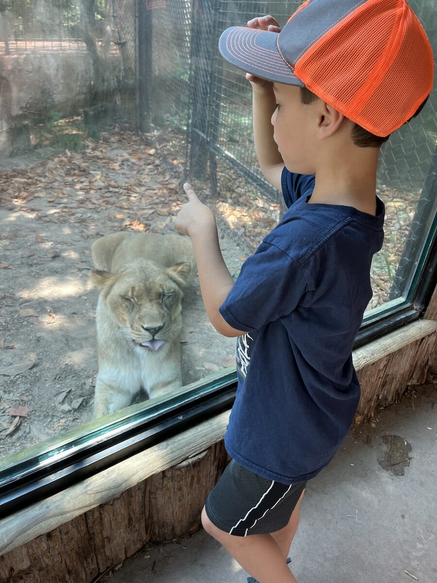 Arkansas Animal Encounters - Only In Arkansas