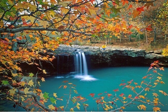 The Best Trees for Fall Colors in Arkansas - Only In Arkansas