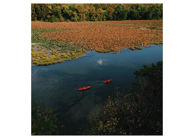 Arkansas Photography: Perspective Angles - Only In Arkansas