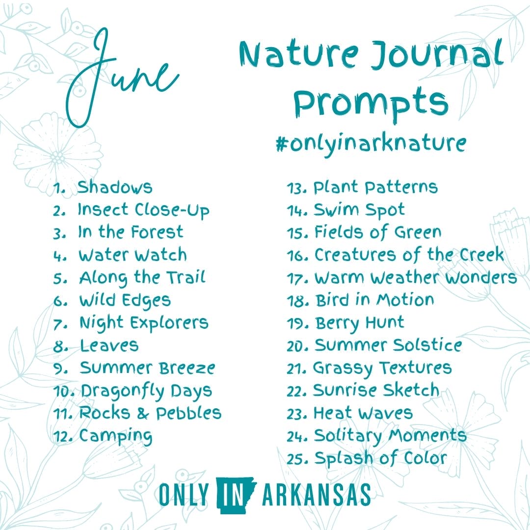 June Nature Journaling – Sun-Drenched Colors of Summer - Only In Arkansas