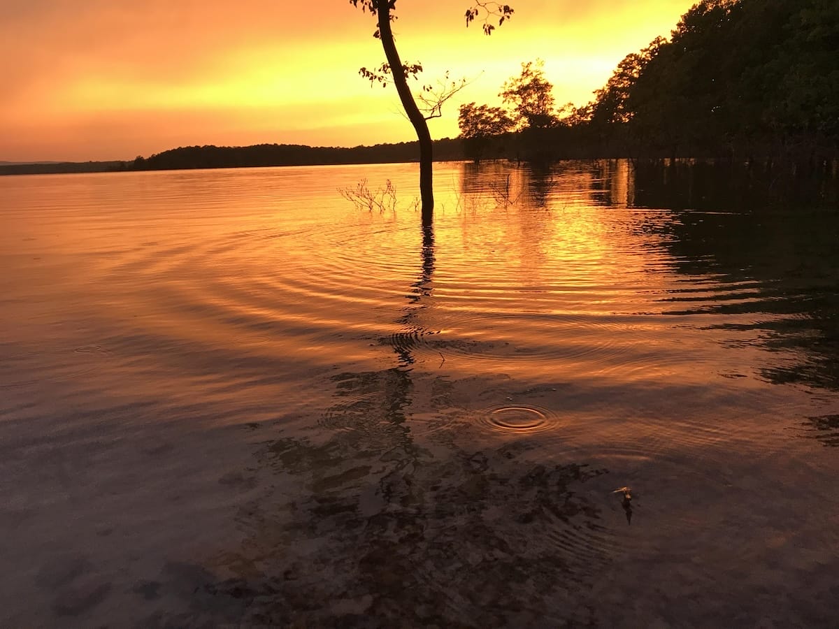 Ozark Howler - Only In Arkansas